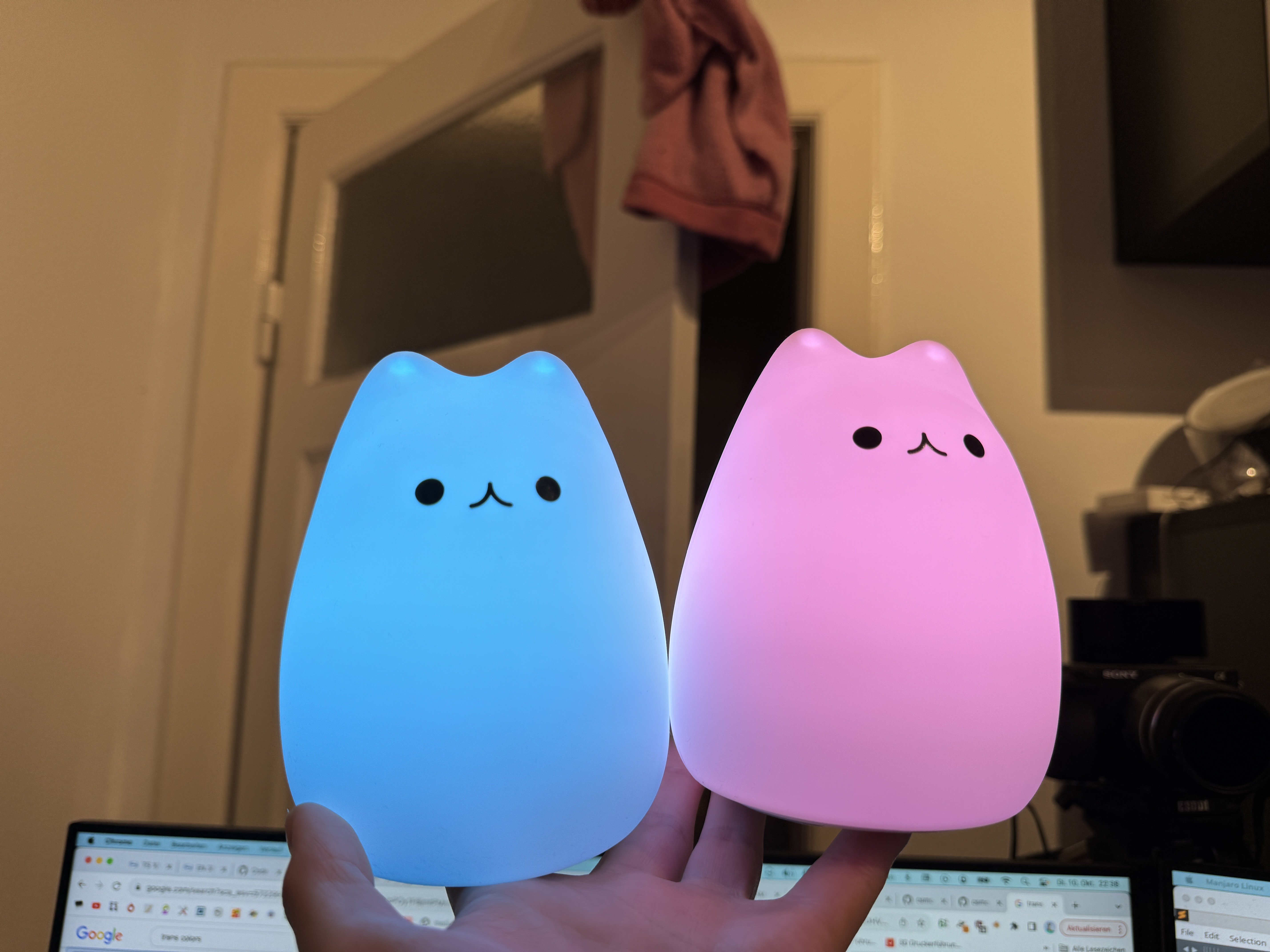 Blinkekatze | KittenLabs